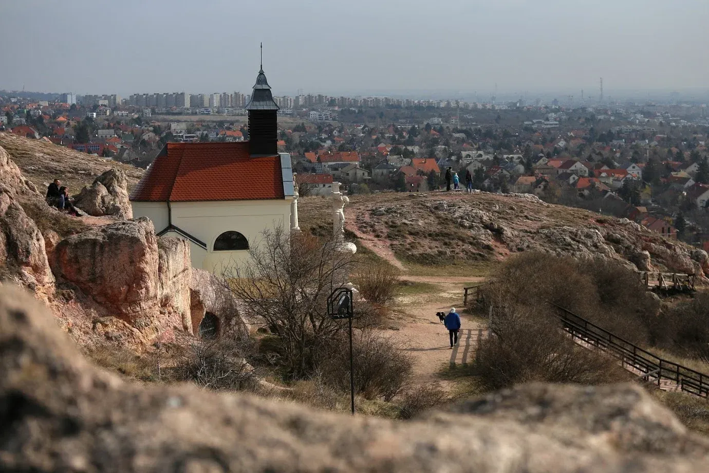 Telex: Túra Budapest egy szem tengerszeméhez