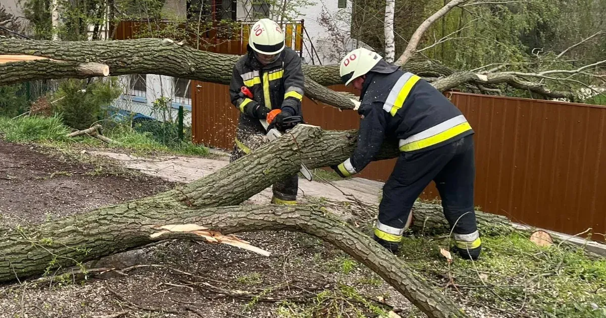 Telex: Több mint 500 esethez riasztották a tűzoltókat hétfőn viharos ...