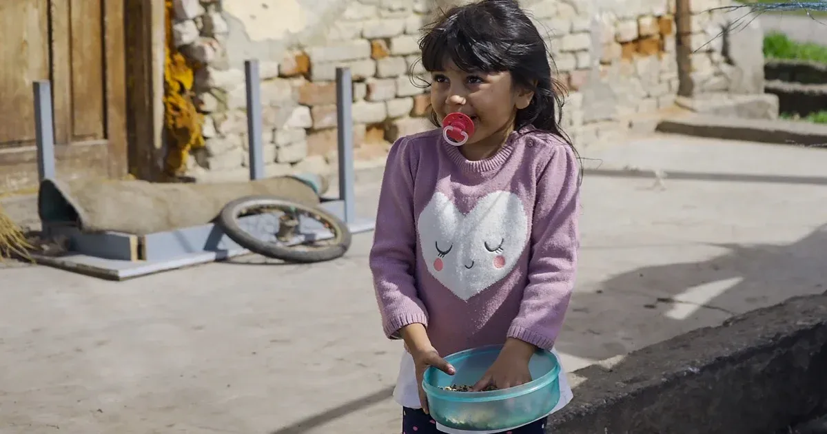 Telex: They would take children from poverty to university, but the ...