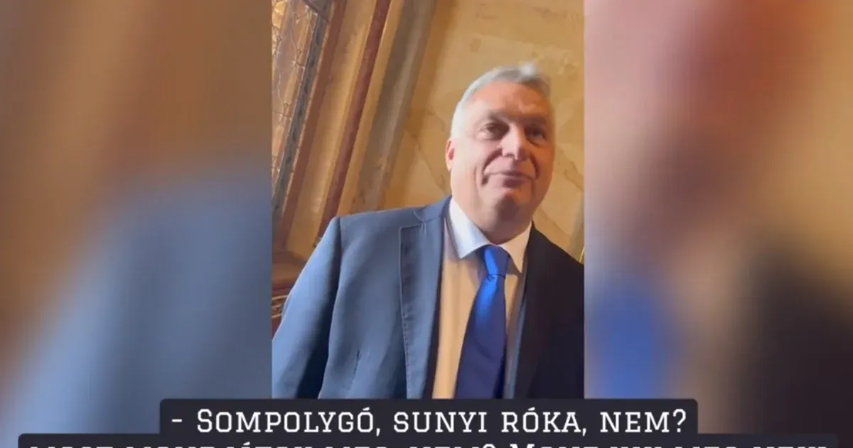 Telex: Orbán Viktor nevetgélve, sompolygó sunyi rókának nevezte ...
