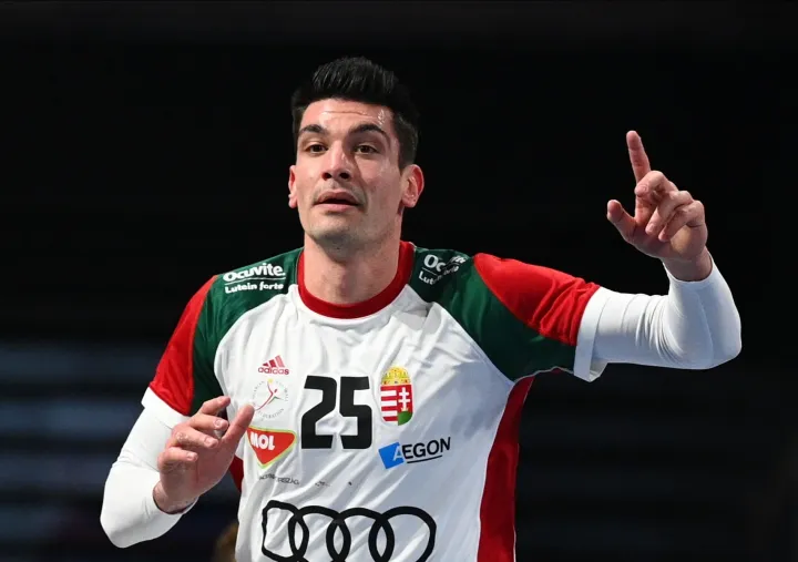 Telex: Az élsport bevándorlóit vagy imádja, vagy alig ismeri Magyarország