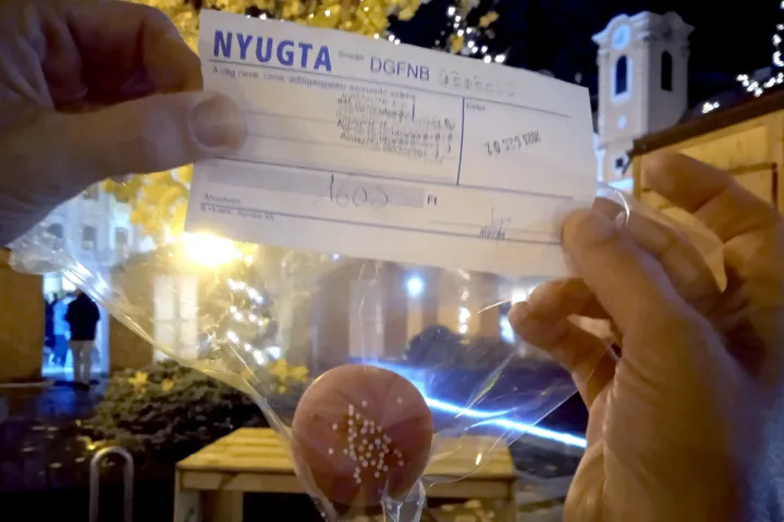 Telex: Pár centis marcipángolyó 1600 forintért – Győrben is húzósak az ...