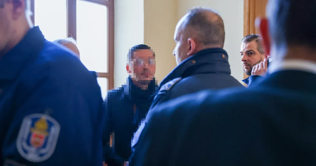 Telex: Letartóztatásban marad Portik fia, aki kávét öntött a bíróra