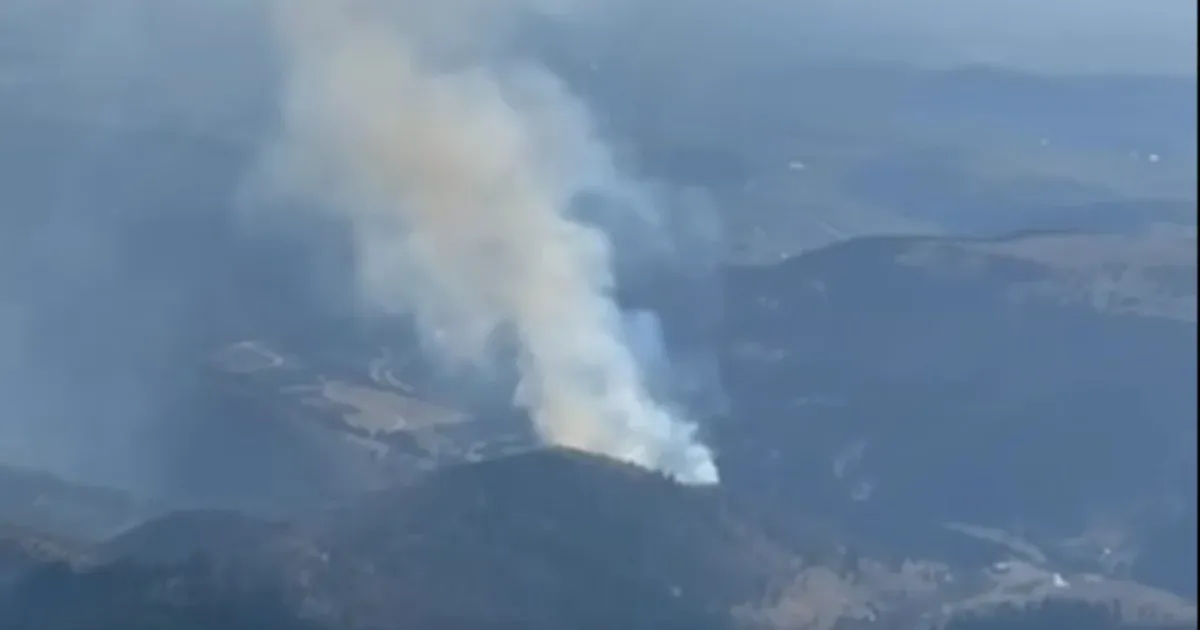 Transtelex: Tűz Balánbánya határában: több mint húsz hektáron ég a ...