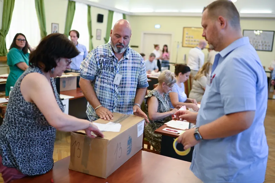 Telex: Választás 2024