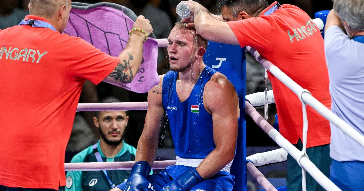 Telex: Az Ukrajnából Magyarországra menekülő bokszoló kikapott és ...