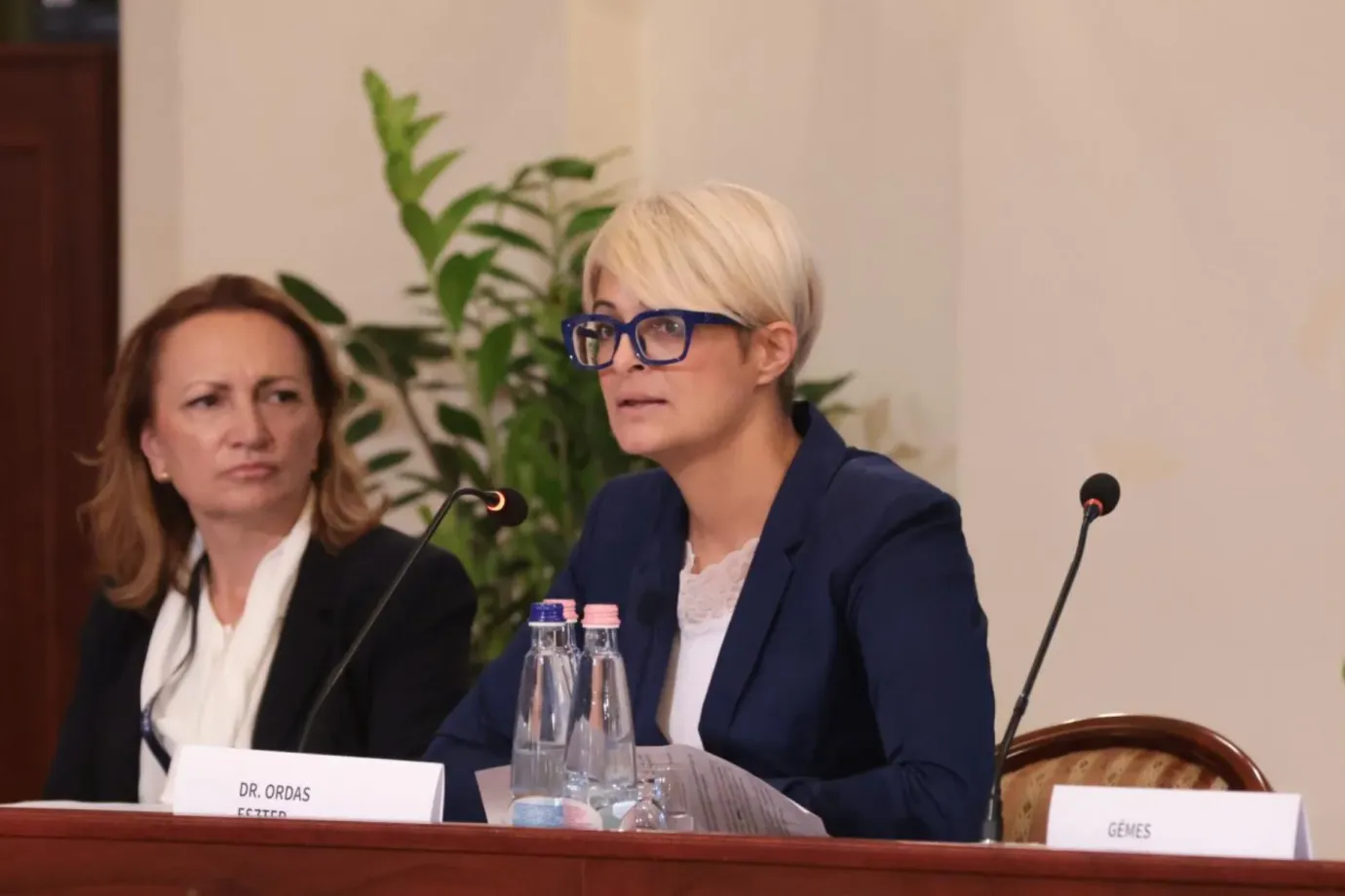 Telex: A Tisza Párt olyan állatkerti vezető kirúgását kéri Karácsony Gergelytől, aki már nem is ...