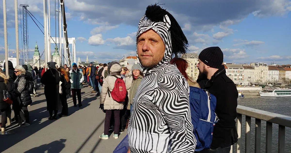 Telex: A zebra és a dinó már a hídon