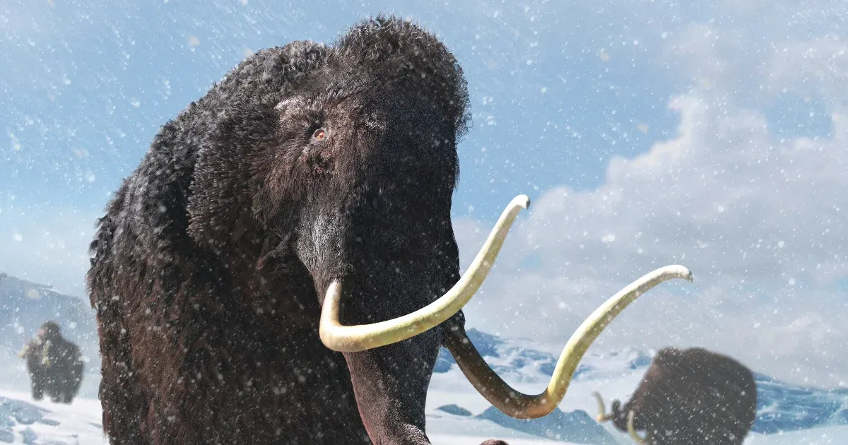 Telex: Először sikerült szekvenálni egy gyapjas mamut RNS-ét
