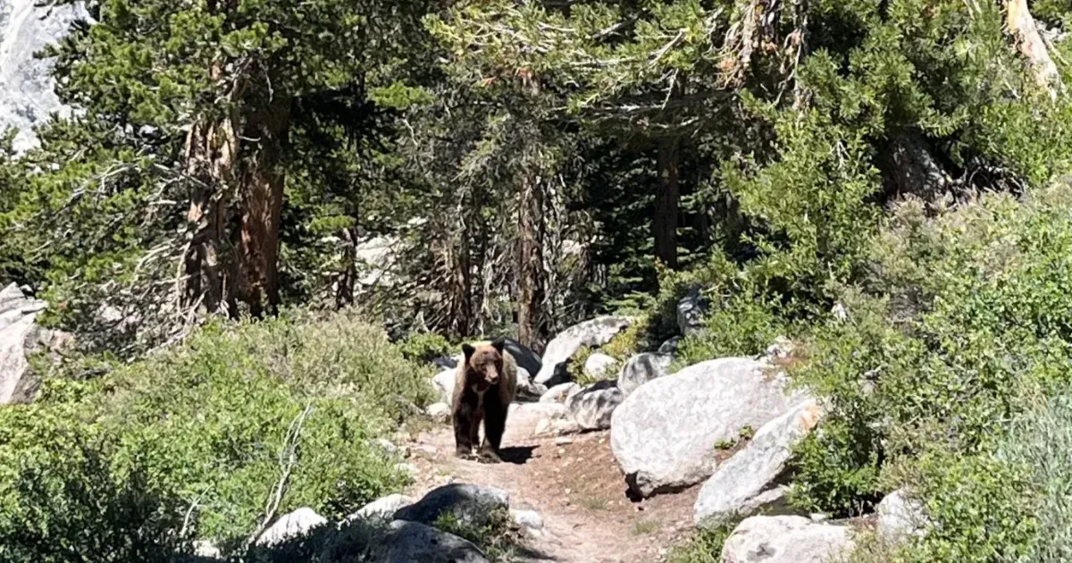 Túra az Észak-Amerikai Vadonnal: Egy Kaland a Pacific Crest Trail-en ...