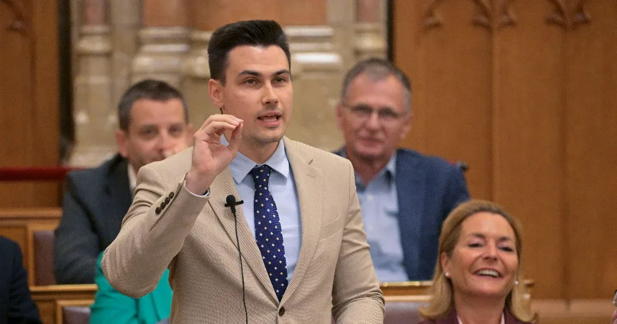 Szűcs Gábor vagyonnyilatkozata: Fidesz-közeli jövedelmek és titkos ...
